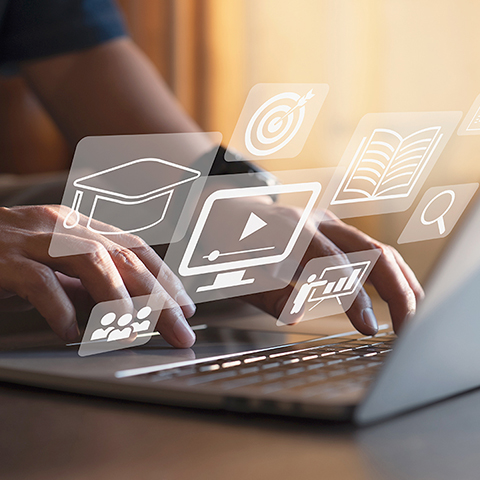 Entrar al sitio | UVirtual